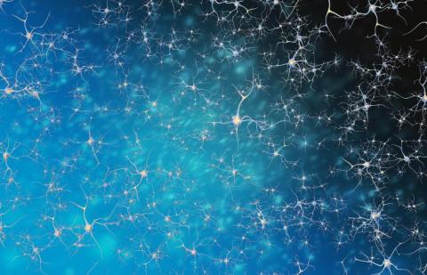 Making Sense of the Neural Network | Neural Engineering Center